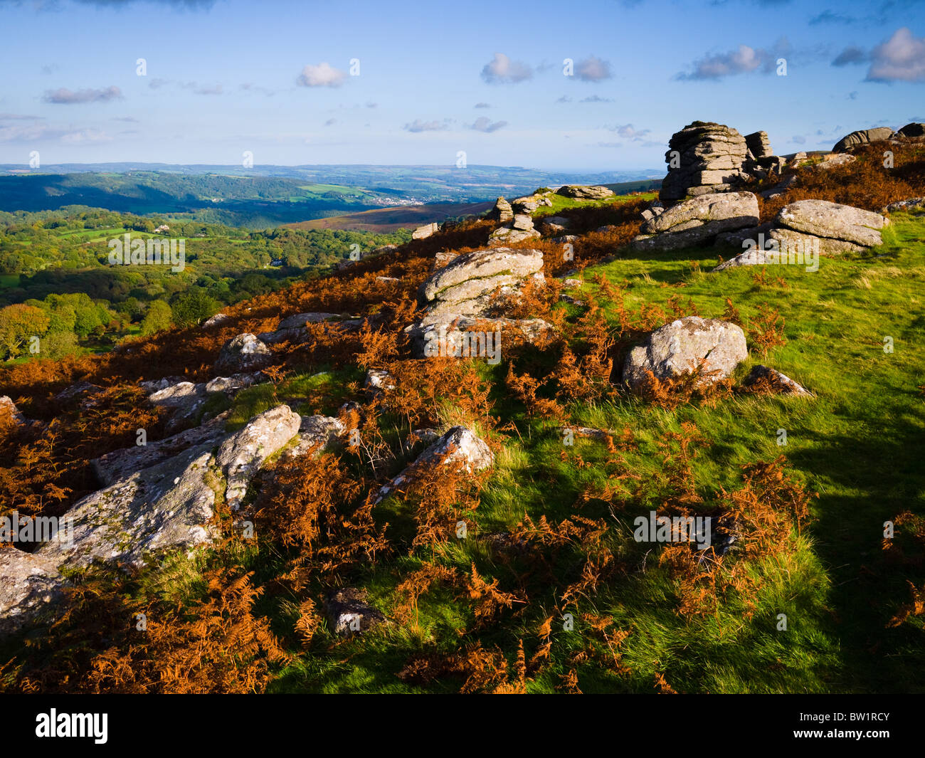 Granite rocks strewn over the landscape at Hayne Down in the Dartmoor ...