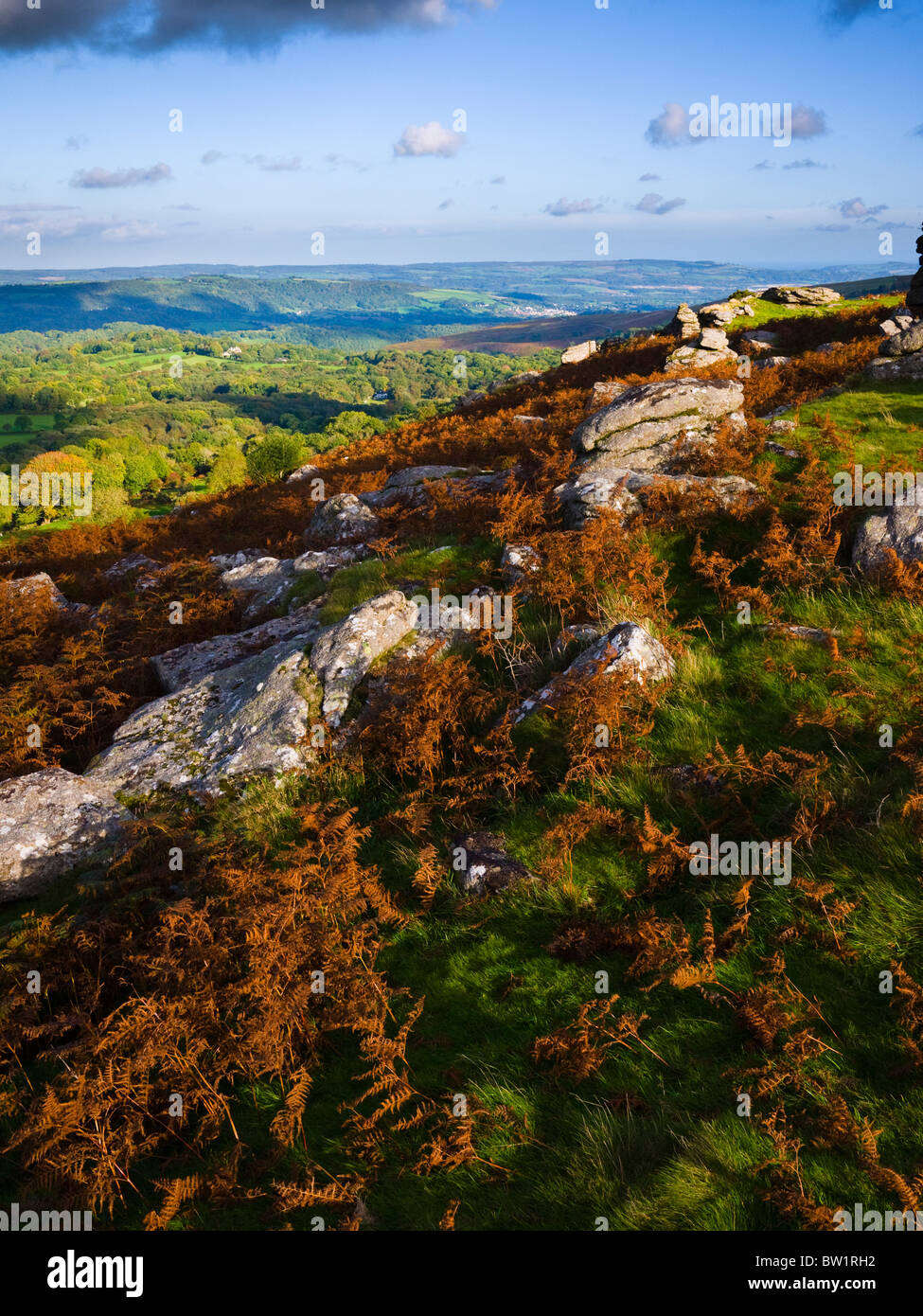 Granite rocks strewn over the landscape at Hayne Down in the Dartmoor ...