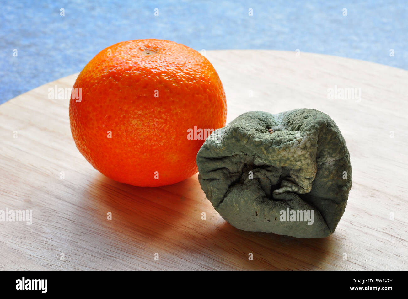 Mouldy Fruit Stock Photos & Mouldy Fruit Stock Images - Alamy