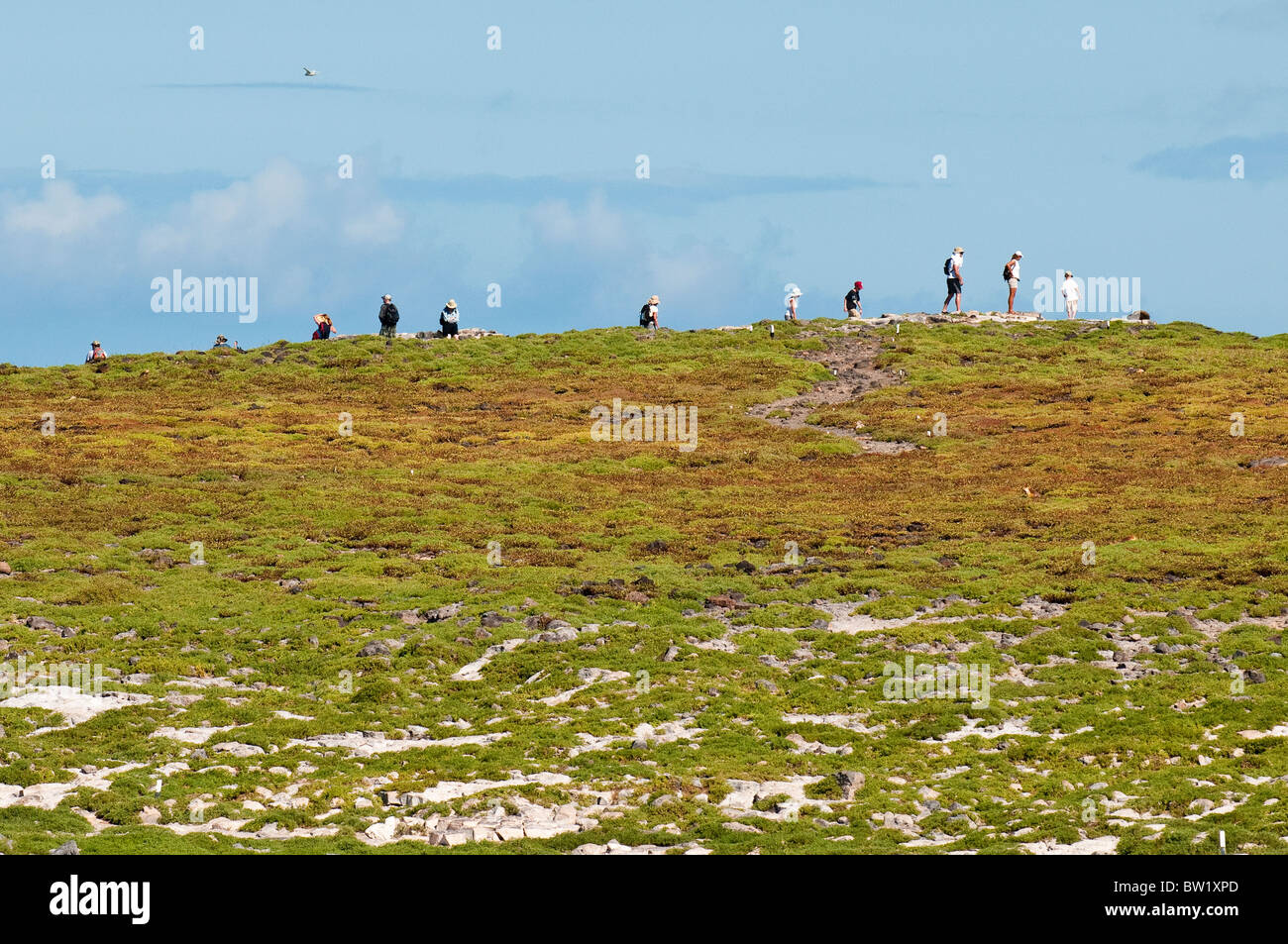 Exploring islands hi-res stock photography and images - Alamy