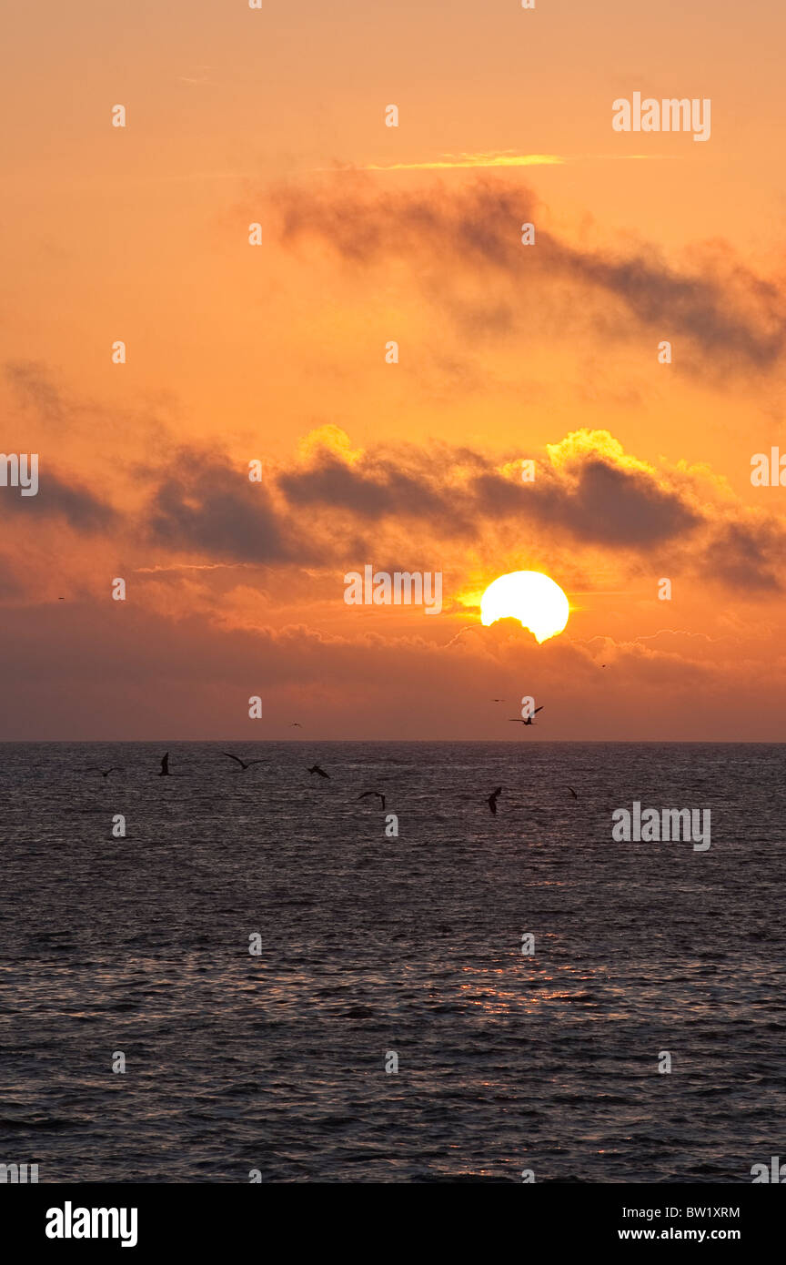 Sunset, North Seymour Island, Galapagos Islands, Ecuador Stock Photo ...