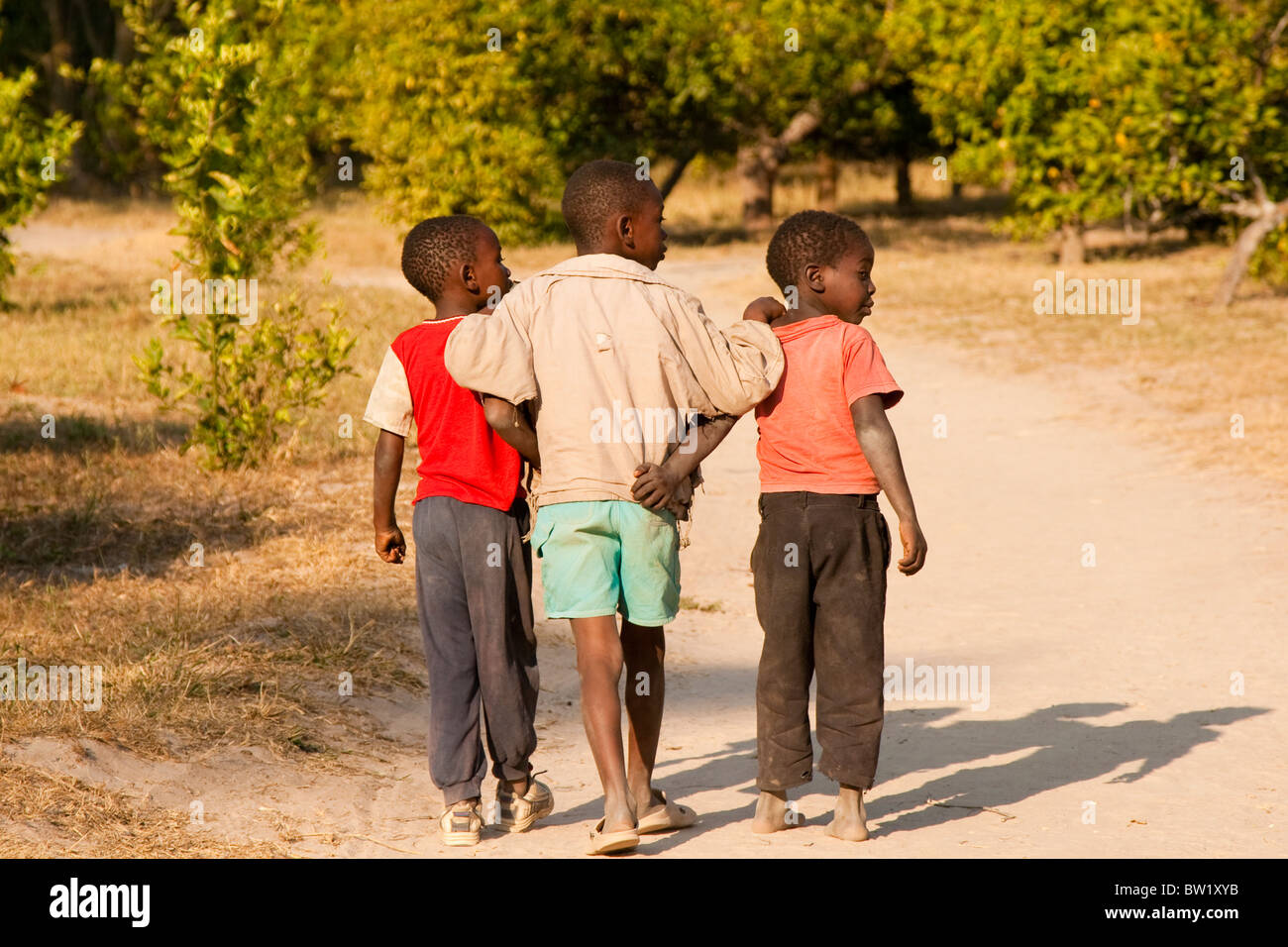 Three boys walk back to their homes in late afternoon in rural Zambia ...