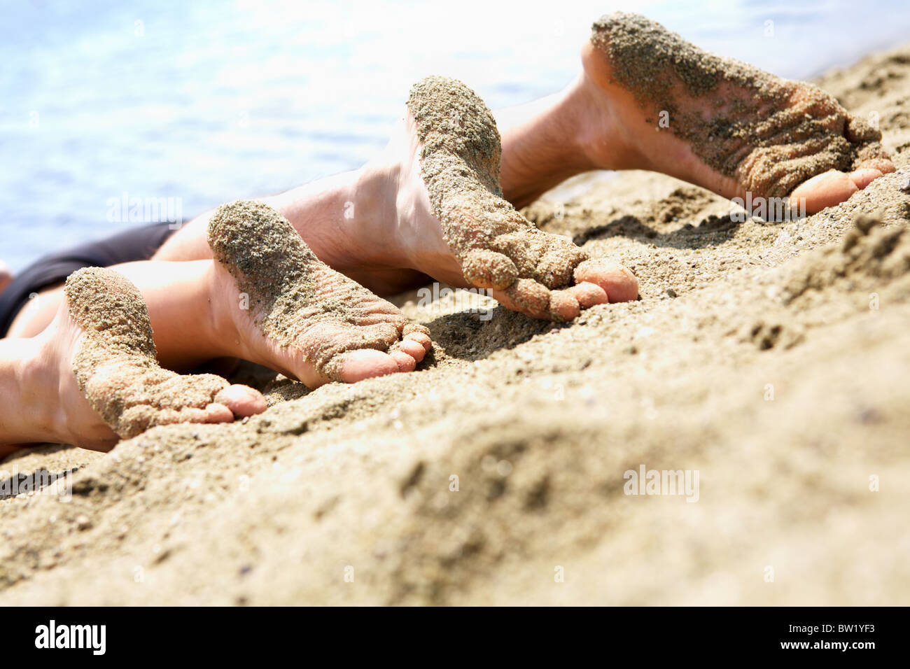 Soles Stock Photos & Soles Stock Images - Alamy