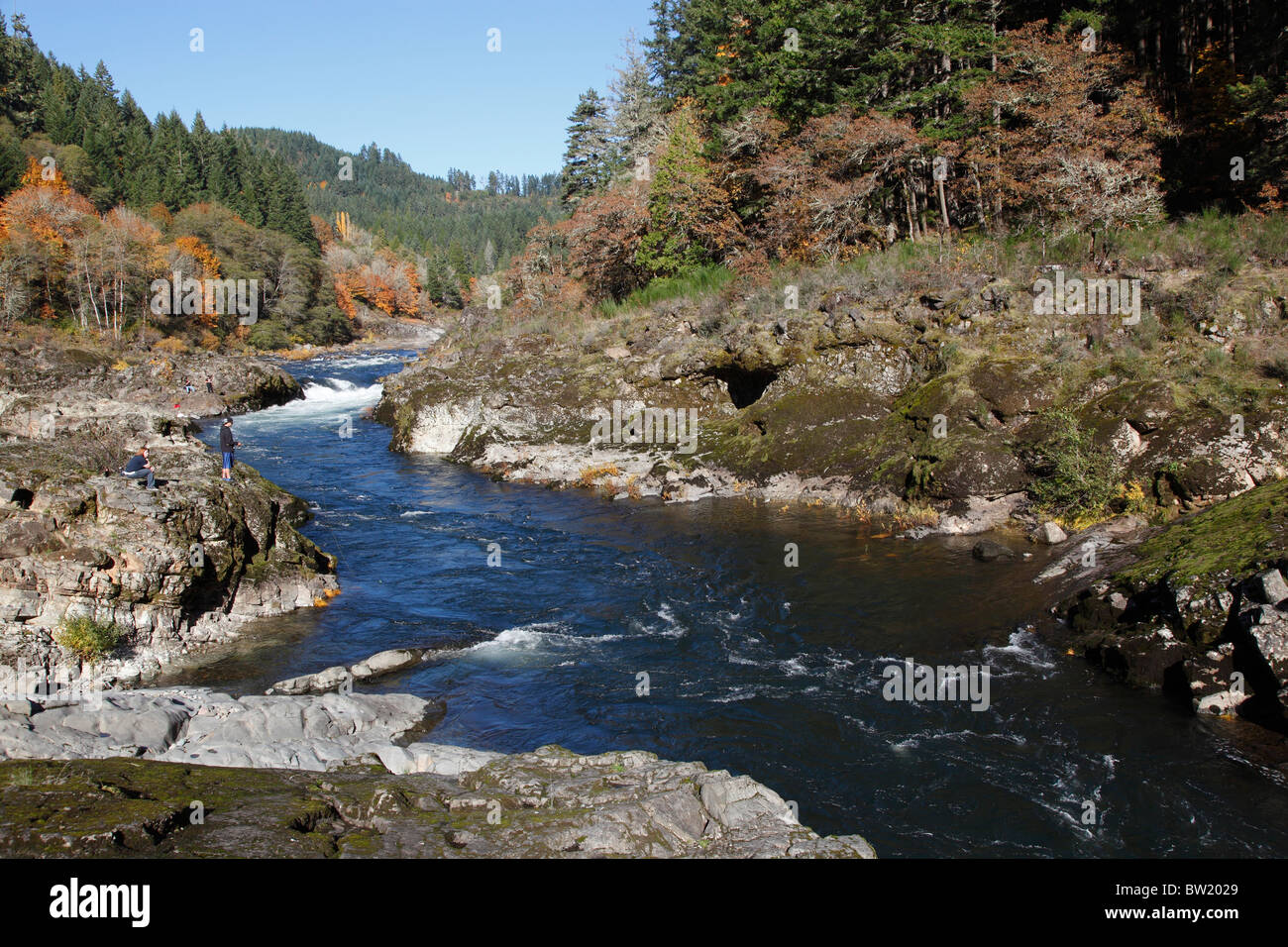 Hopeful fishermen try their luck with the Fall Chinook salmon run on ...