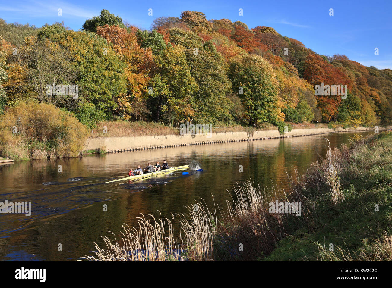 Rowing boat on river wear hi-res stock photography and images - Alamy