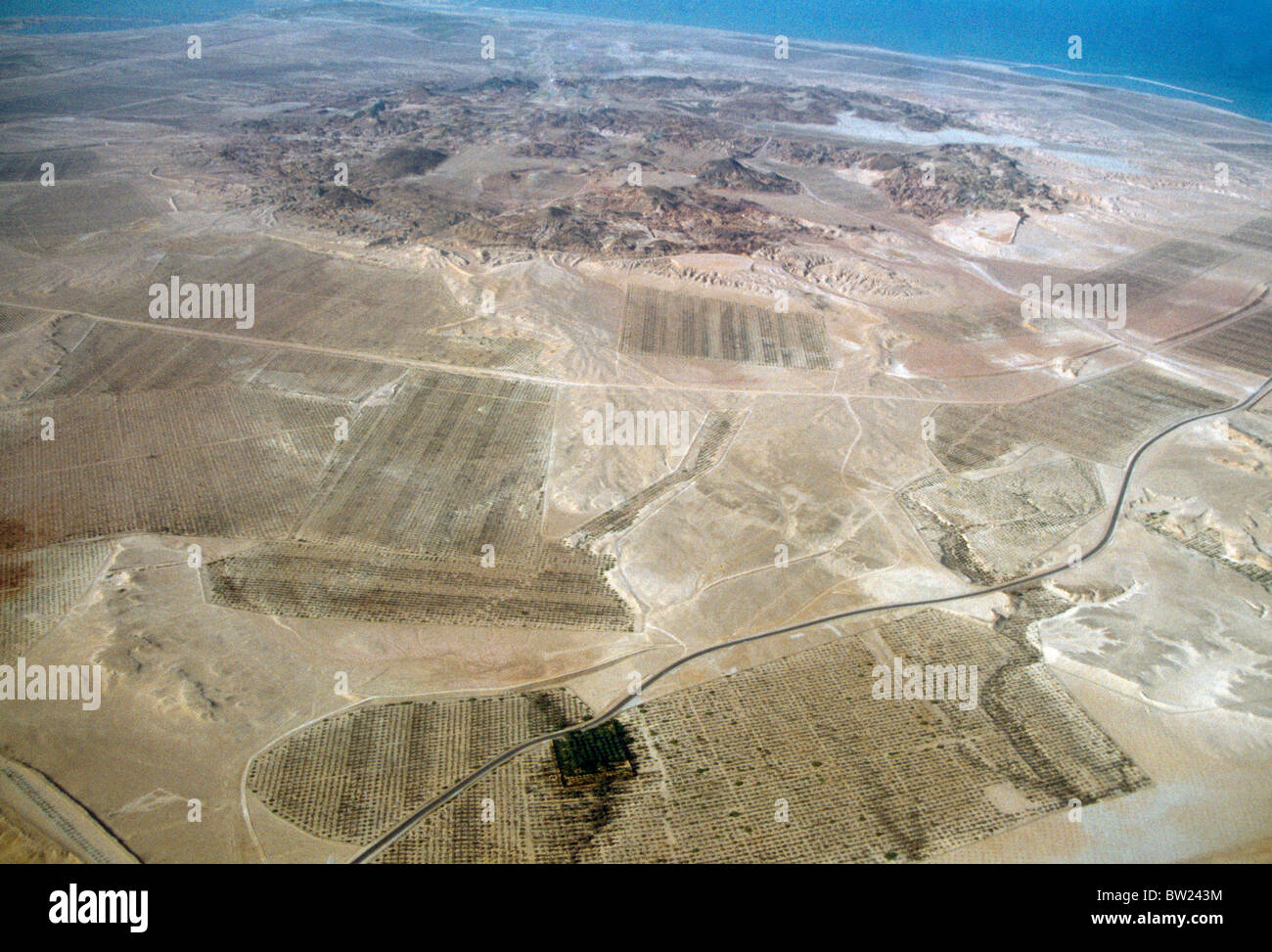 Sir bani yas island, uae hi-res stock photography and images - Alamy