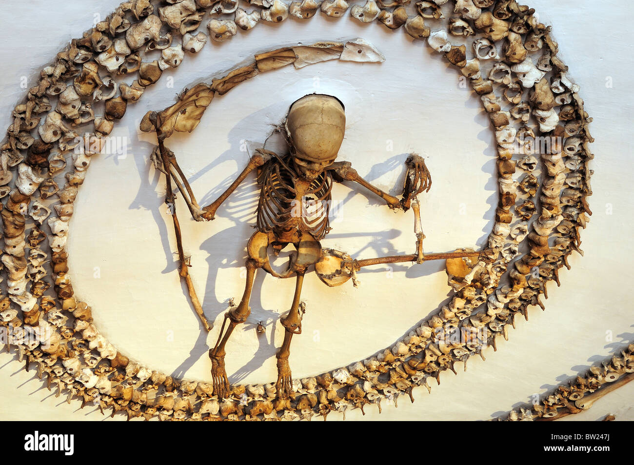 Ceiling, Cripta dei Tre Scheletri, Capuchin Cemetery, Church of Santa ...