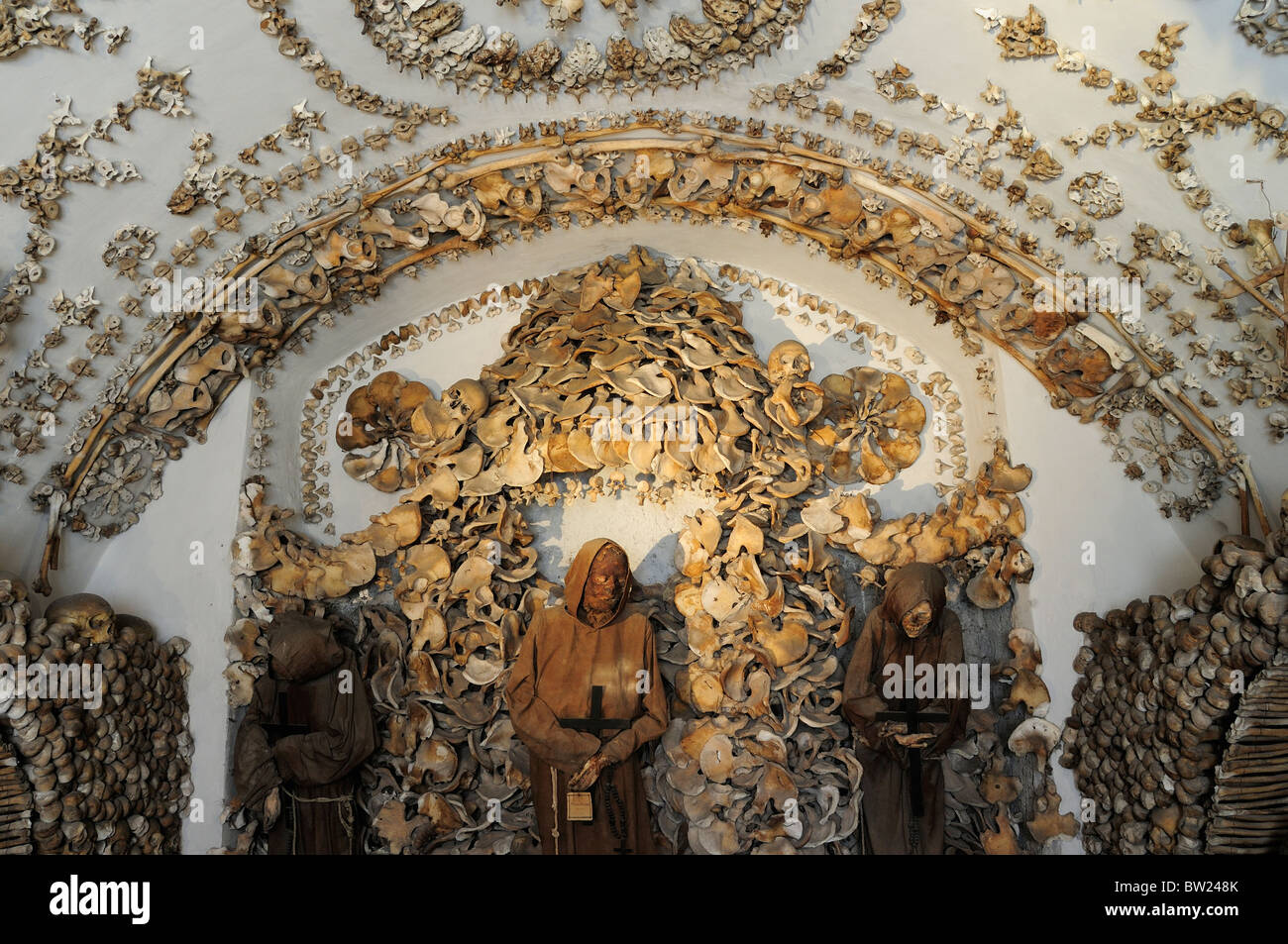 Crypt of pelvises hi-res stock photography and images - Alamy