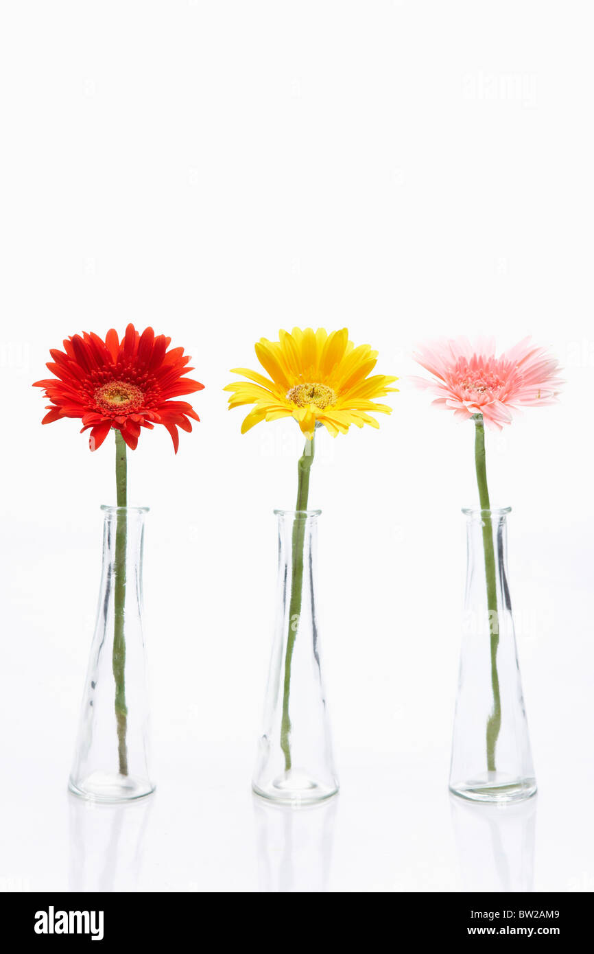 flowers in vase Stock Photo - Alamy
