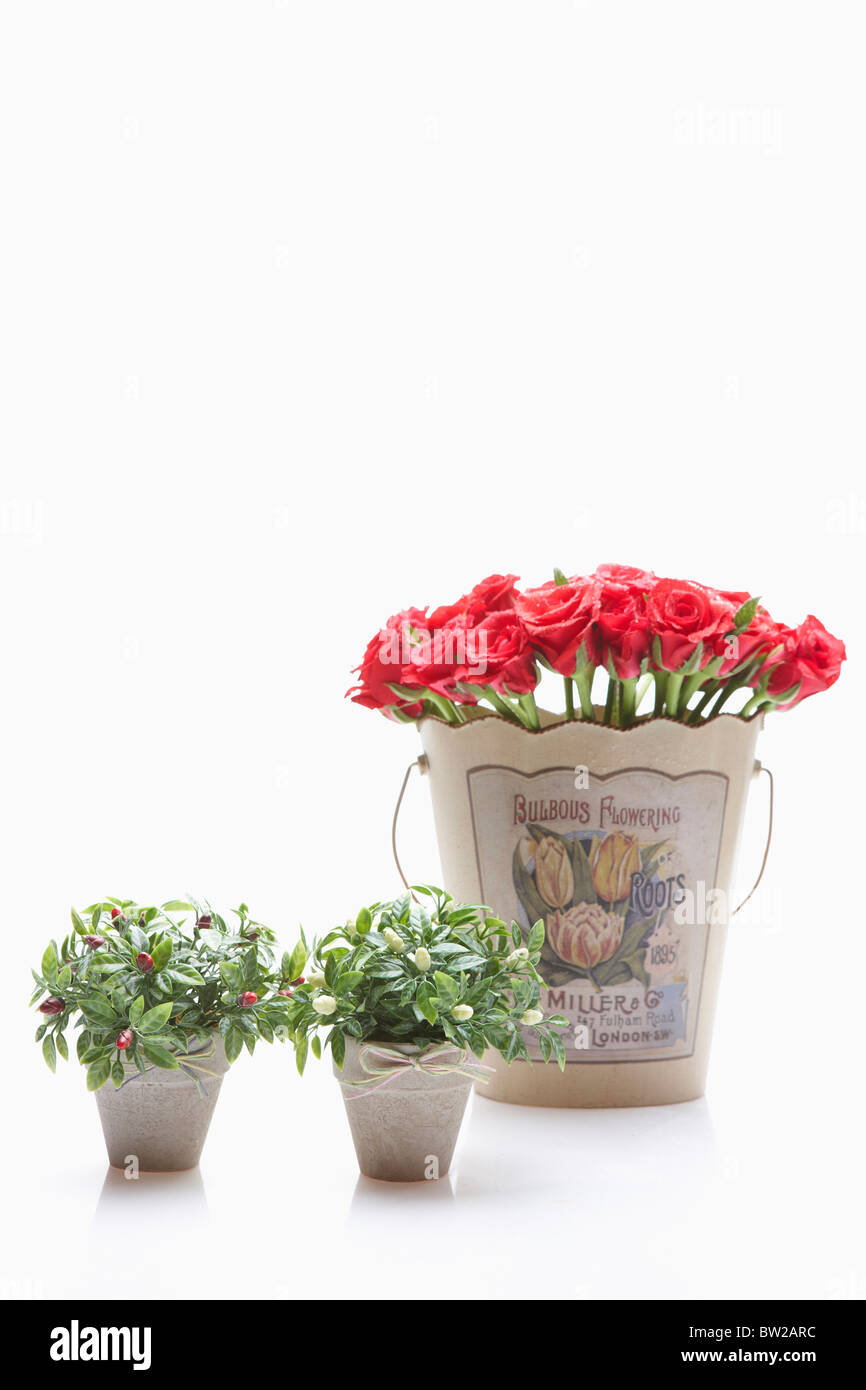 flowers in the bucket Stock Photo - Alamy