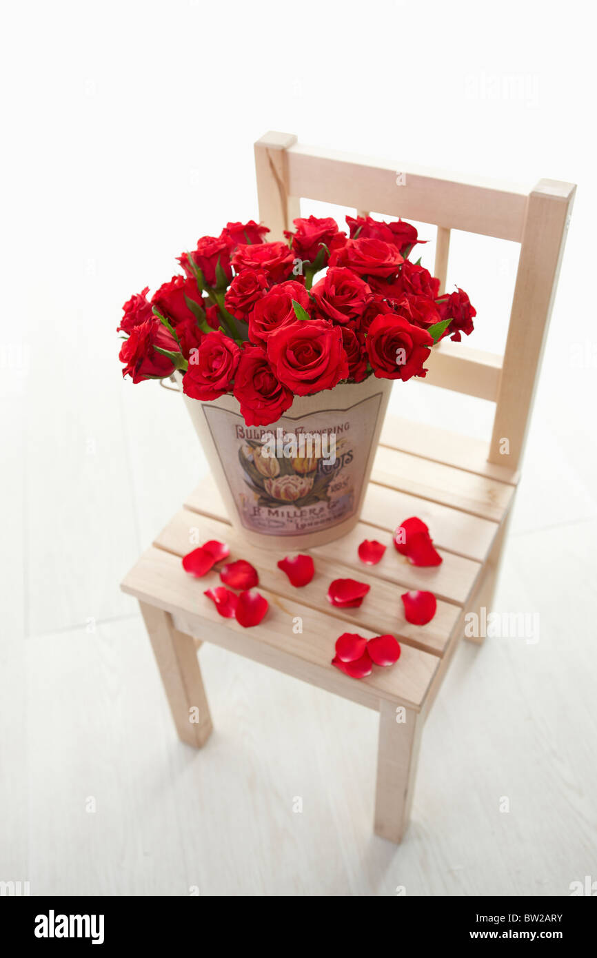 red roses in the bucket Stock Photo - Alamy