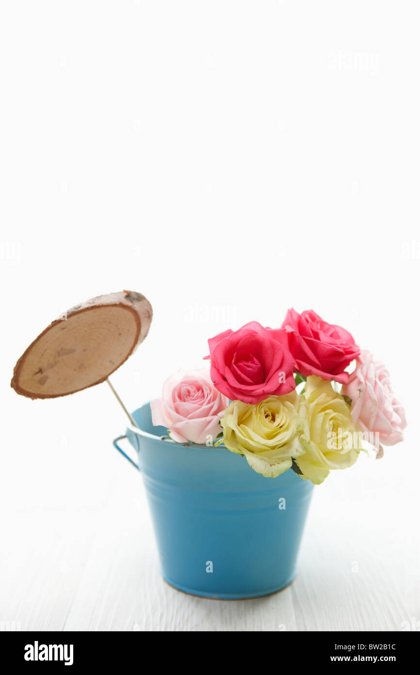 roses in bucket Stock Photo - Alamy