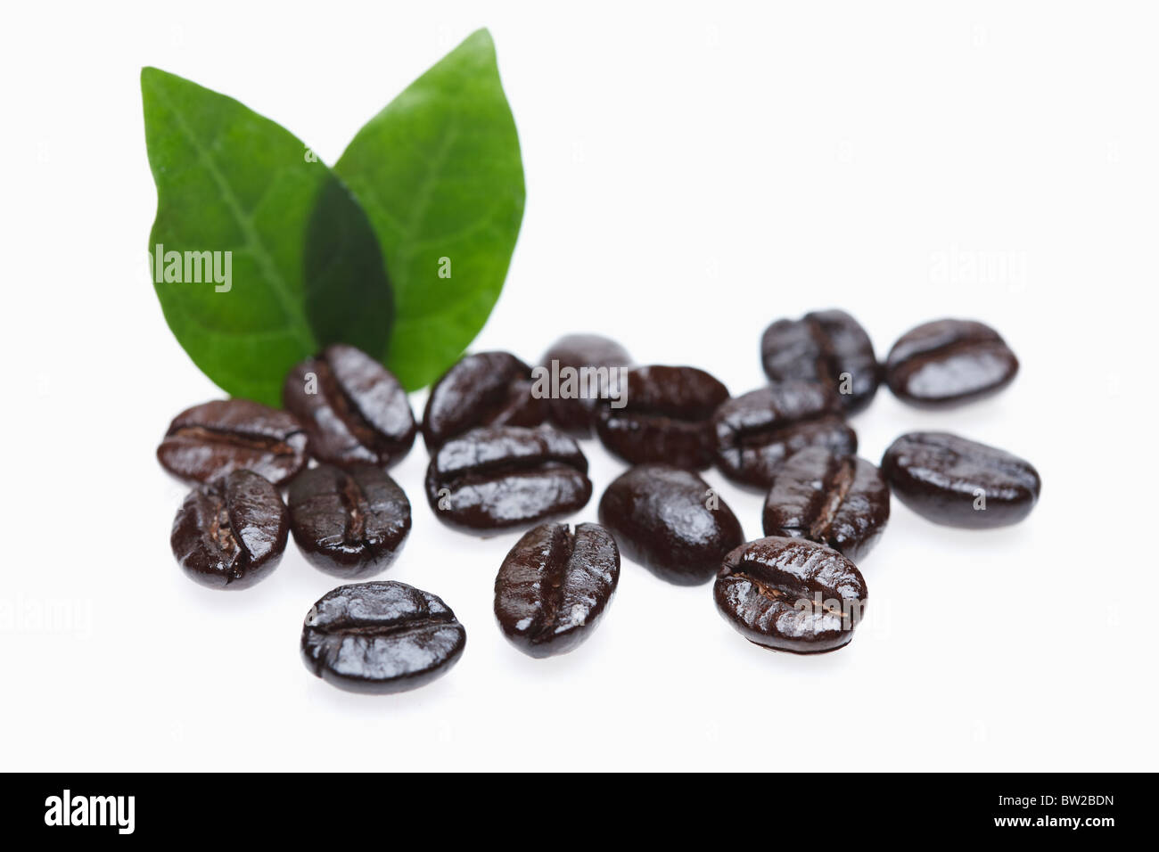 roasted coffee beans Stock Photo - Alamy