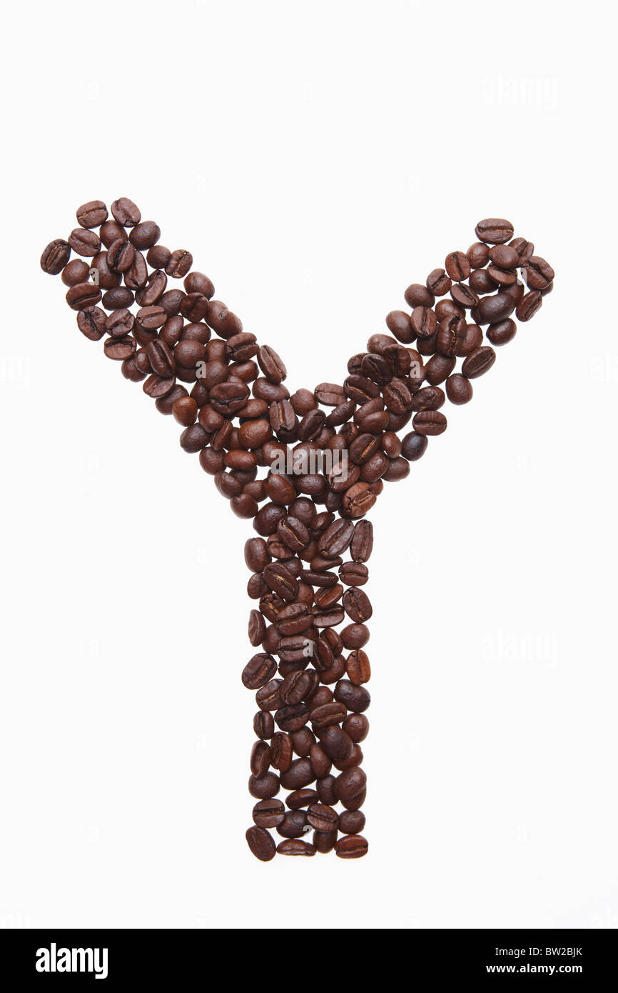 alphabet Y roasted coffee beans Stock Photo - Alamy