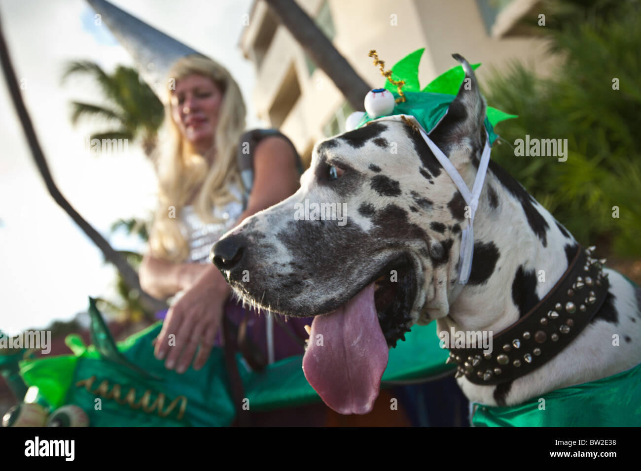 A costumed participant with her dog during the Pet Masquerade at the ...