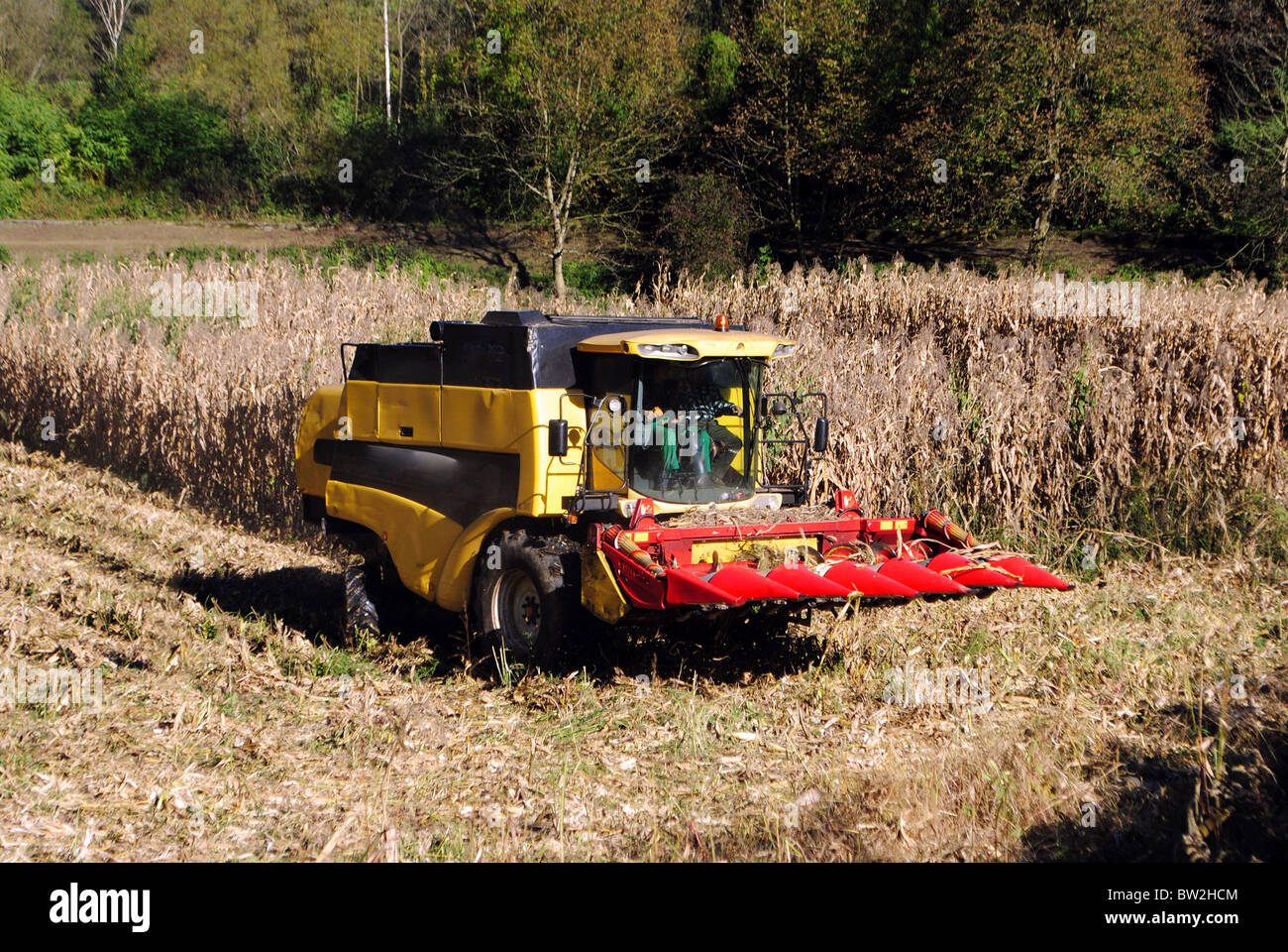 Red thresher hi-res stock photography and images - Alamy