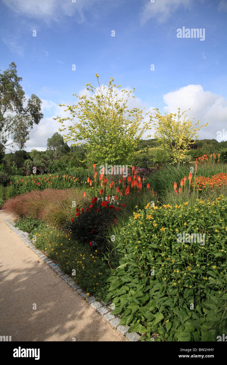 Path and herbaceous border in early August at RHS Gardens Royal Horticultural Society garden ...