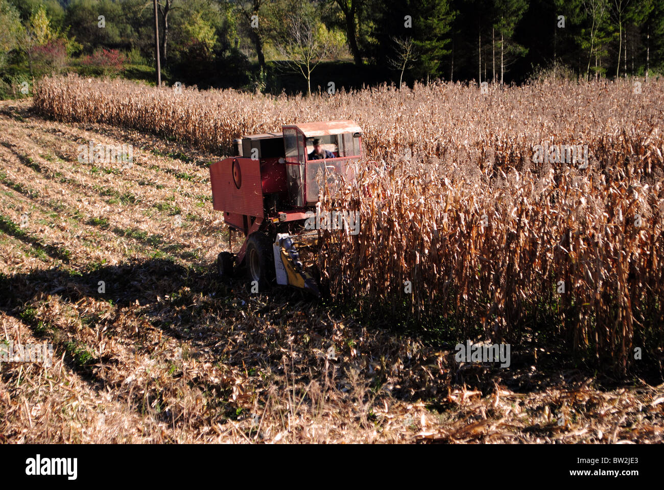 Red thresher hi-res stock photography and images - Alamy