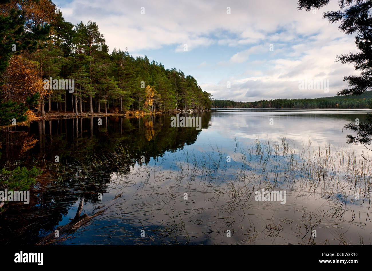 Gartan lake hi-res stock photography and images - Alamy