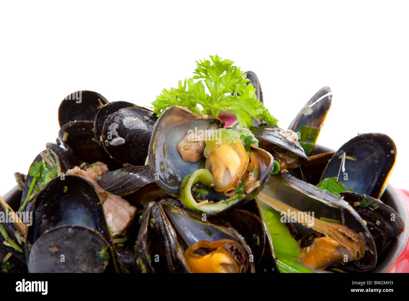 pile of cooked mussels in red casserole over white background Stock ...