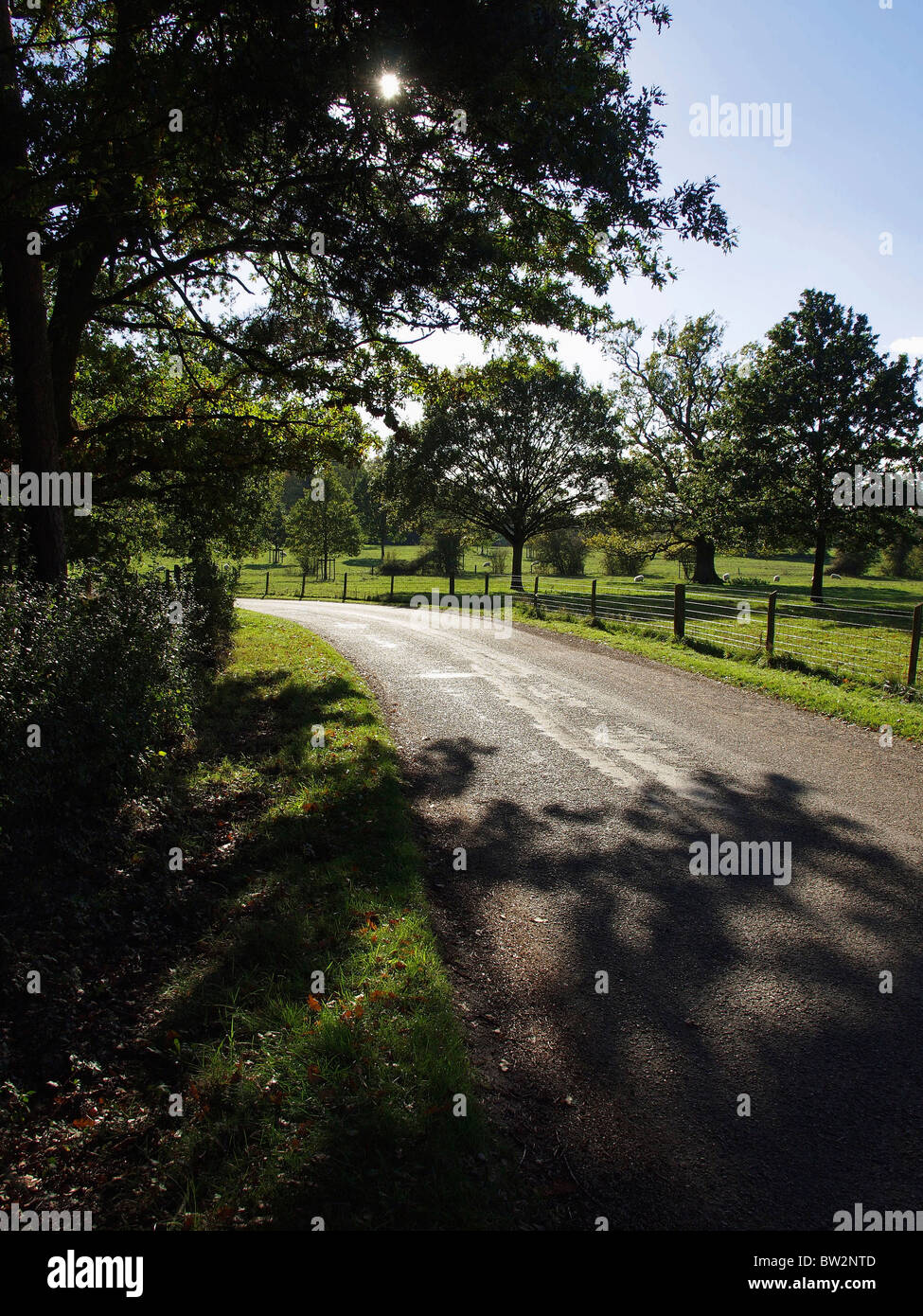 the grounds and gardens of a country estate Stock Photo - Alamy