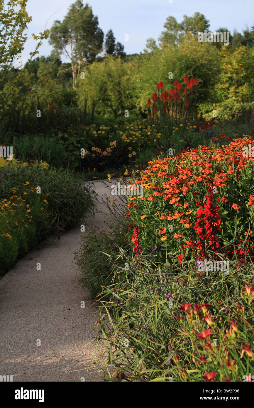 Path and herbaceous border in early August at RHS Gardens Royal Horticultural Society garden ...