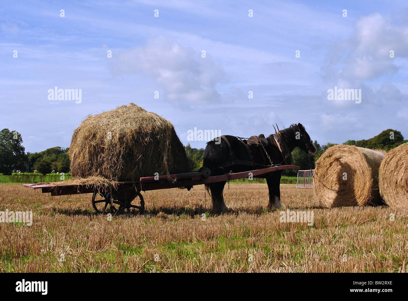 Horse cart farm hay hi-res stock photography and images - Alamy