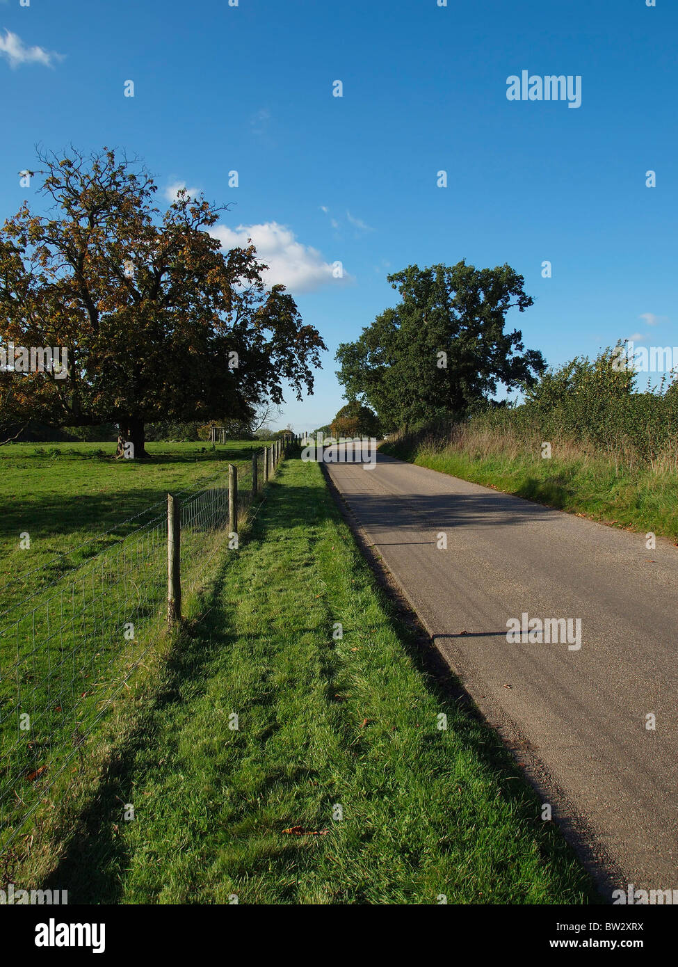 the grounds and gardens of a country estate Stock Photo - Alamy