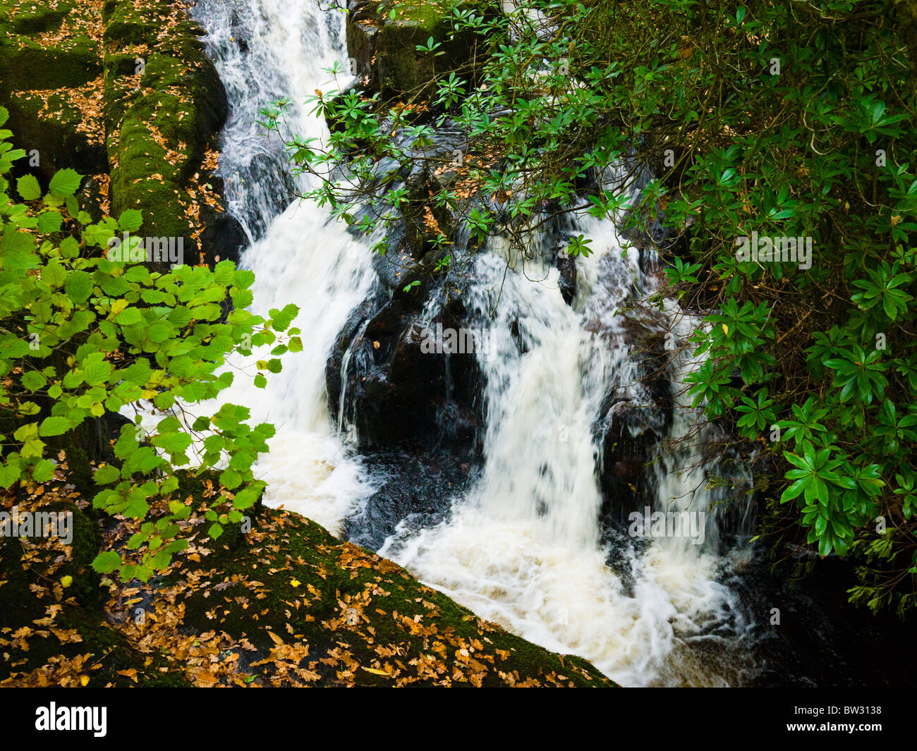 The River Avon in Dartmoor National Park near Didworthly, Devon ...