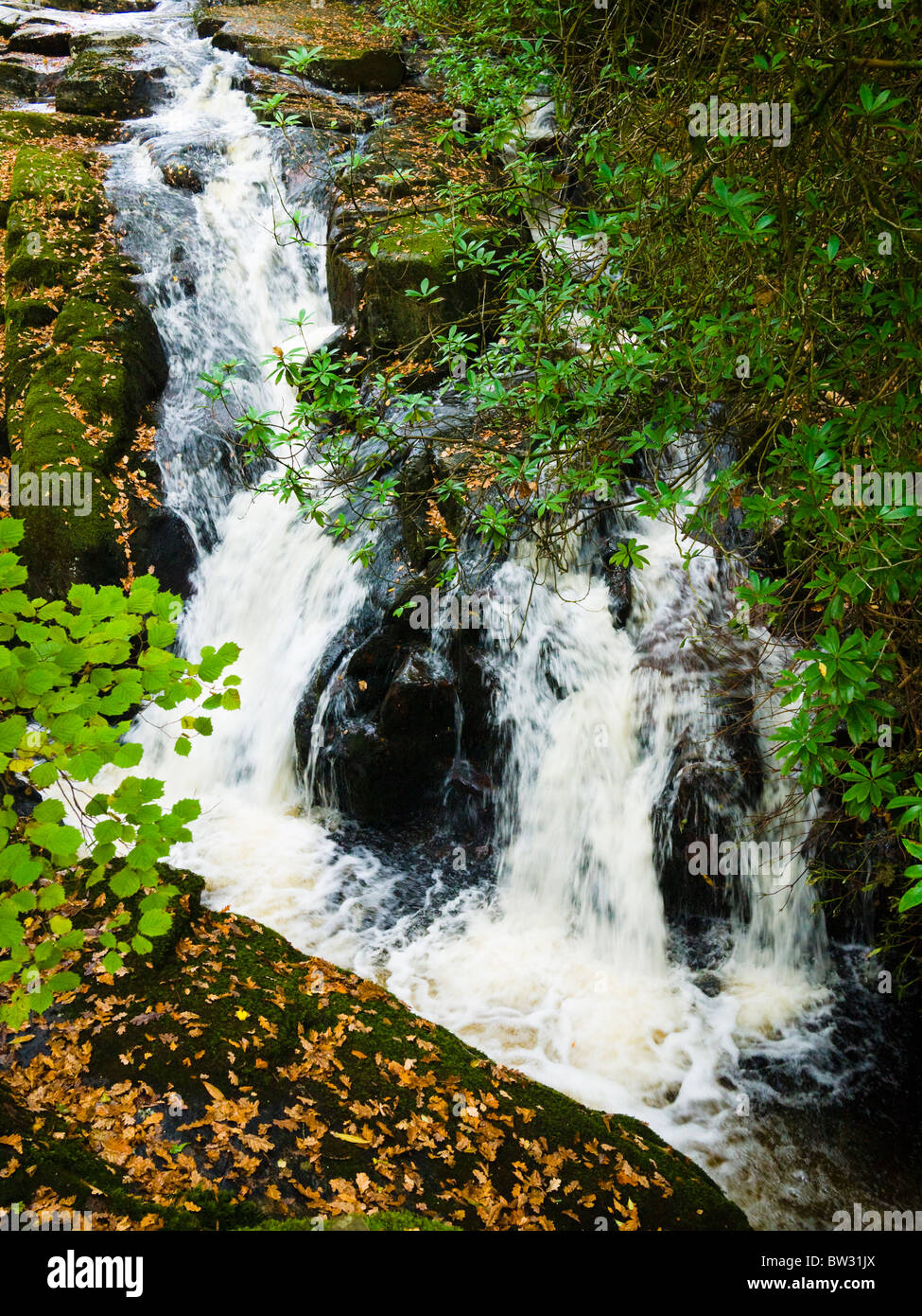 The River Avon in Dartmoor National Park near Didworthly, Devon ...