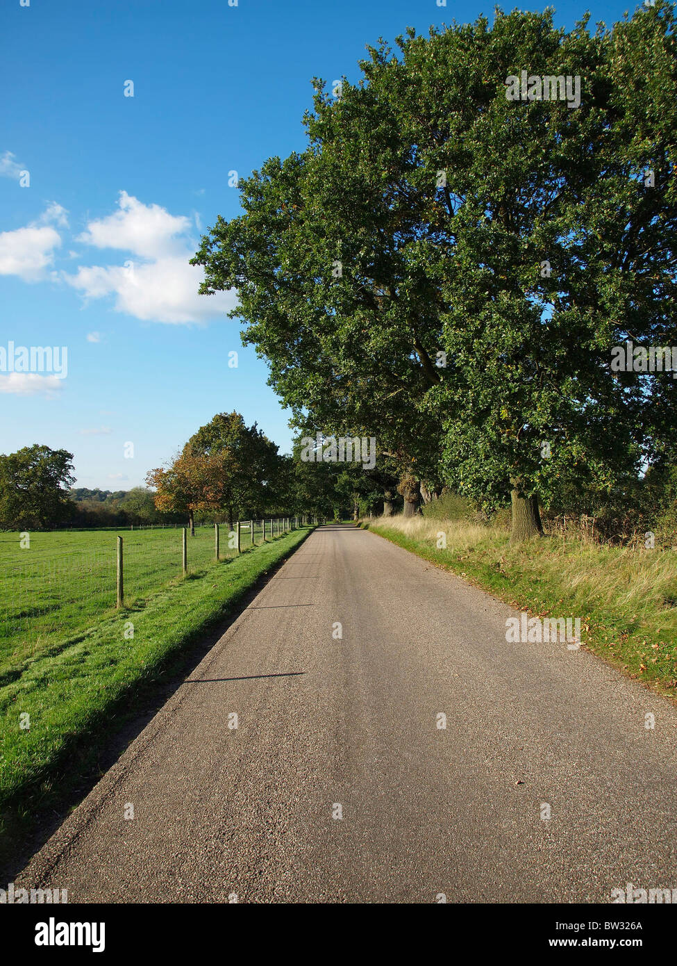 the grounds and gardens of a country estate Stock Photo - Alamy