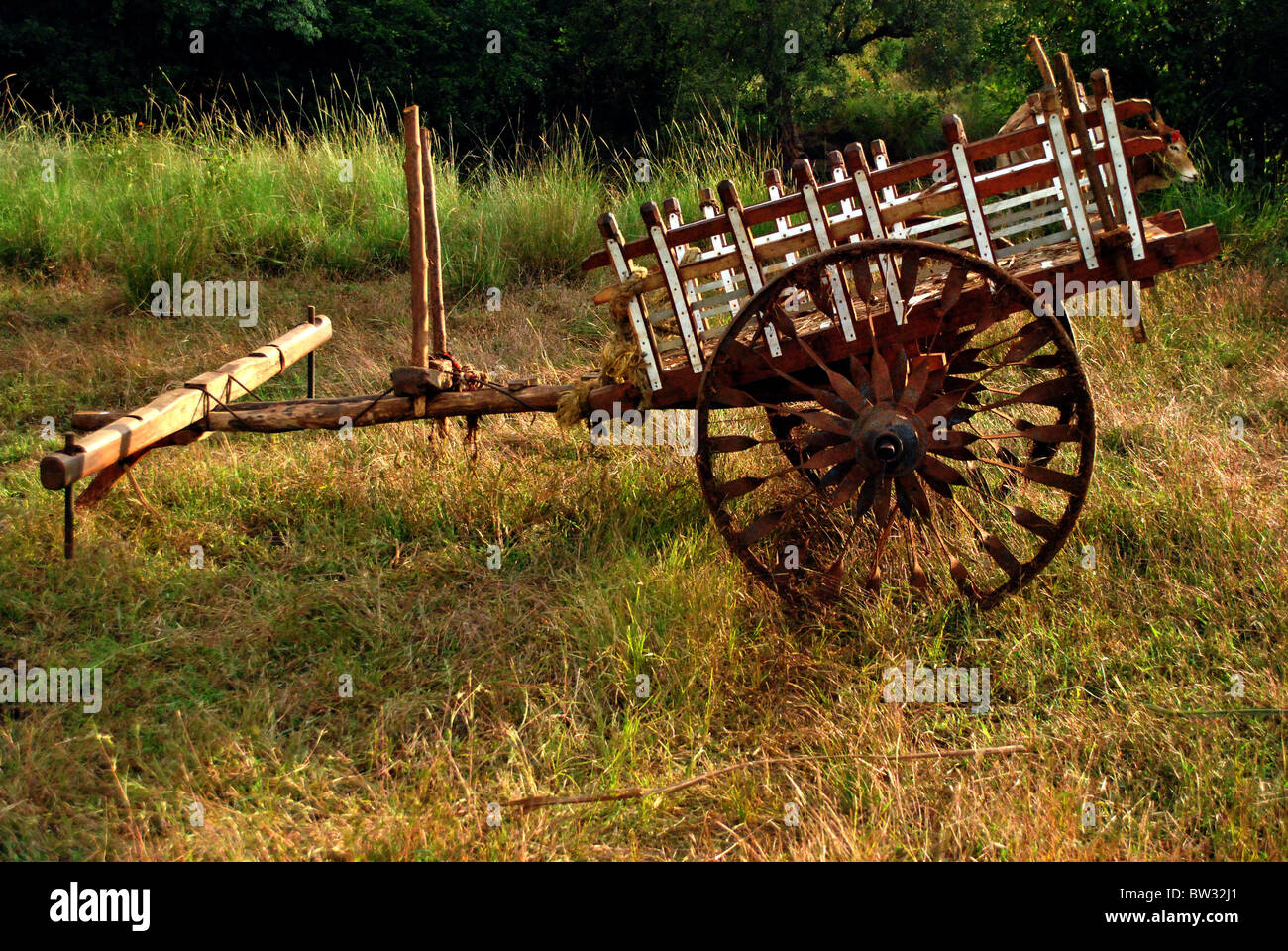 Indian wooden cart hi-res stock photography and images - Alamy