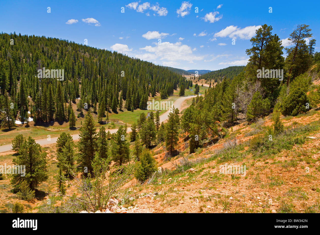 Forest road through mountains hi-res stock photography and images - Alamy