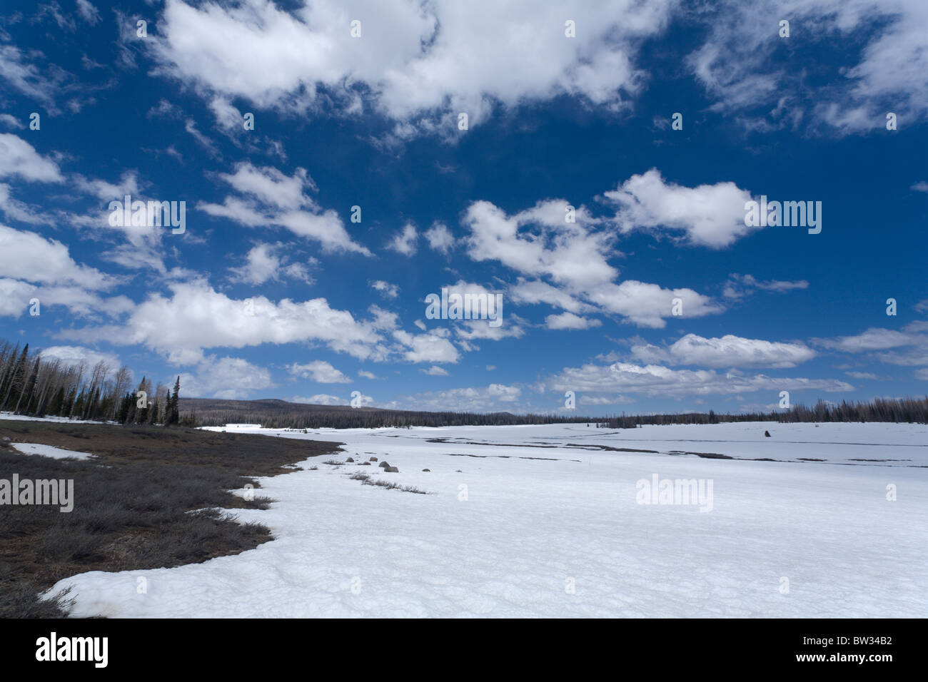 Snow field in Utah Stock Photo - Alamy