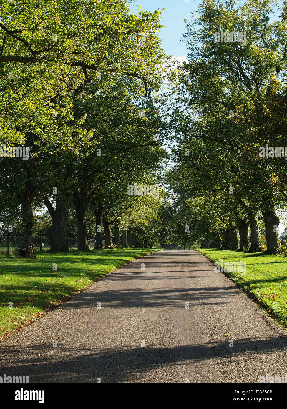 the grounds and gardens of a country estate Stock Photo - Alamy