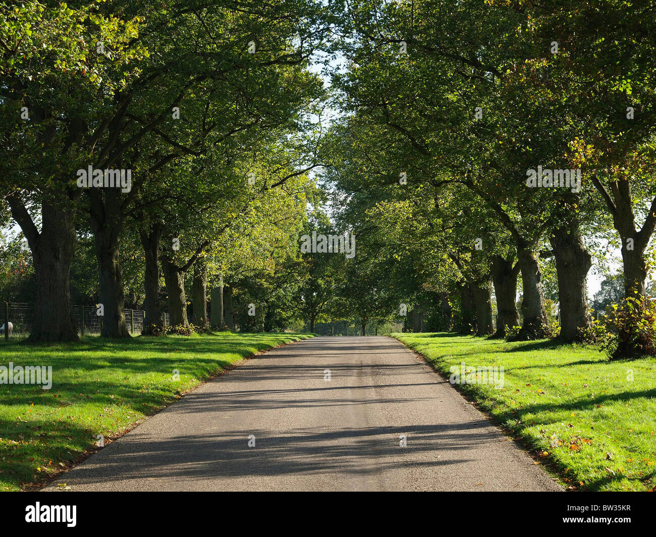 the grounds and gardens of a country estate Stock Photo - Alamy