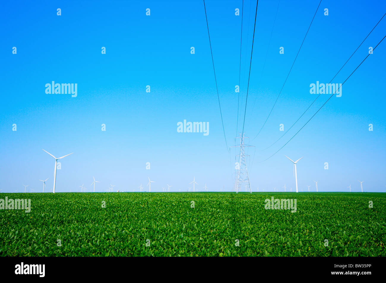 Wind turbines and power lines Stock Photo - Alamy