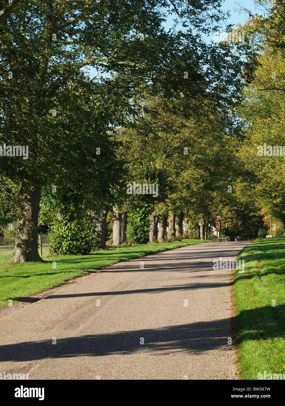 the grounds and gardens of a country estate Stock Photo - Alamy