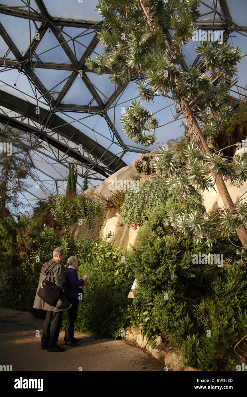 Visitors Interior of Mediterranean Biome Eden Project Cornwall UK Stock ...