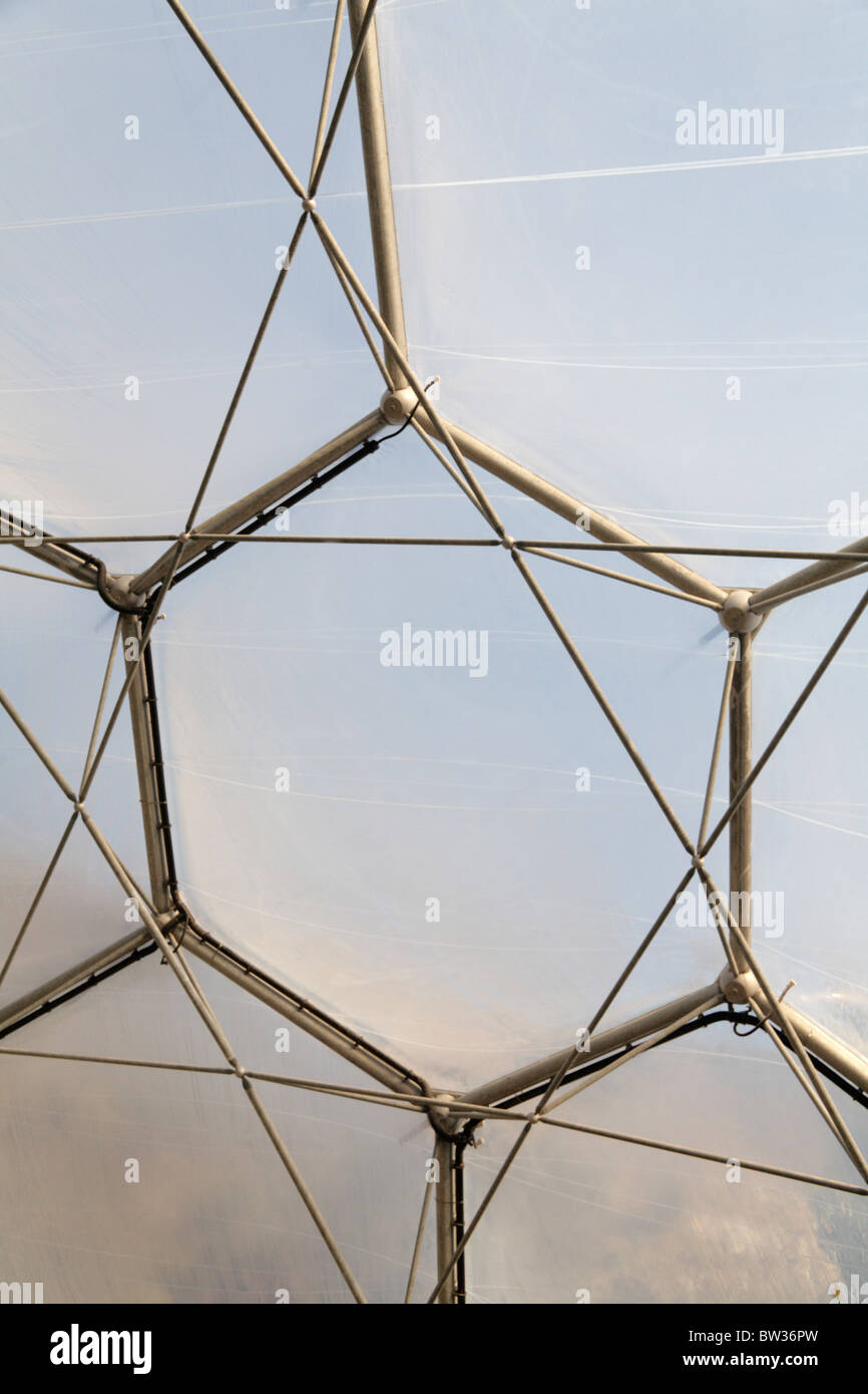 Interior of Mediterranean Biome Eden Project Cornwall UK Close up of ...
