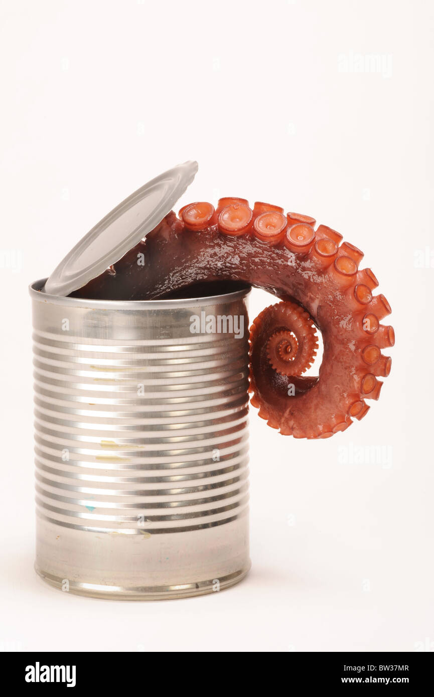 Octopus in a can Stock Photo - Alamy