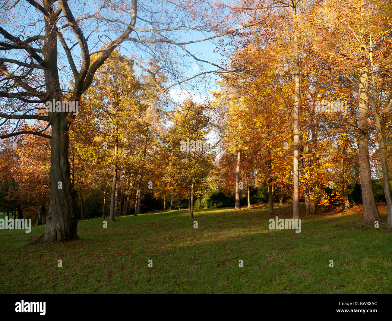 Stowe monuments hi-res stock photography and images - Alamy