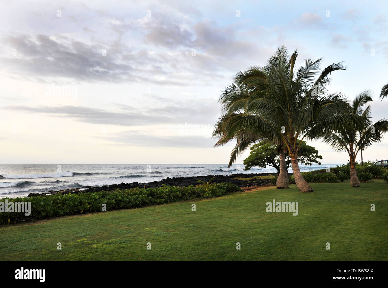 Hawaii background hi-res stock photography and images - Alamy