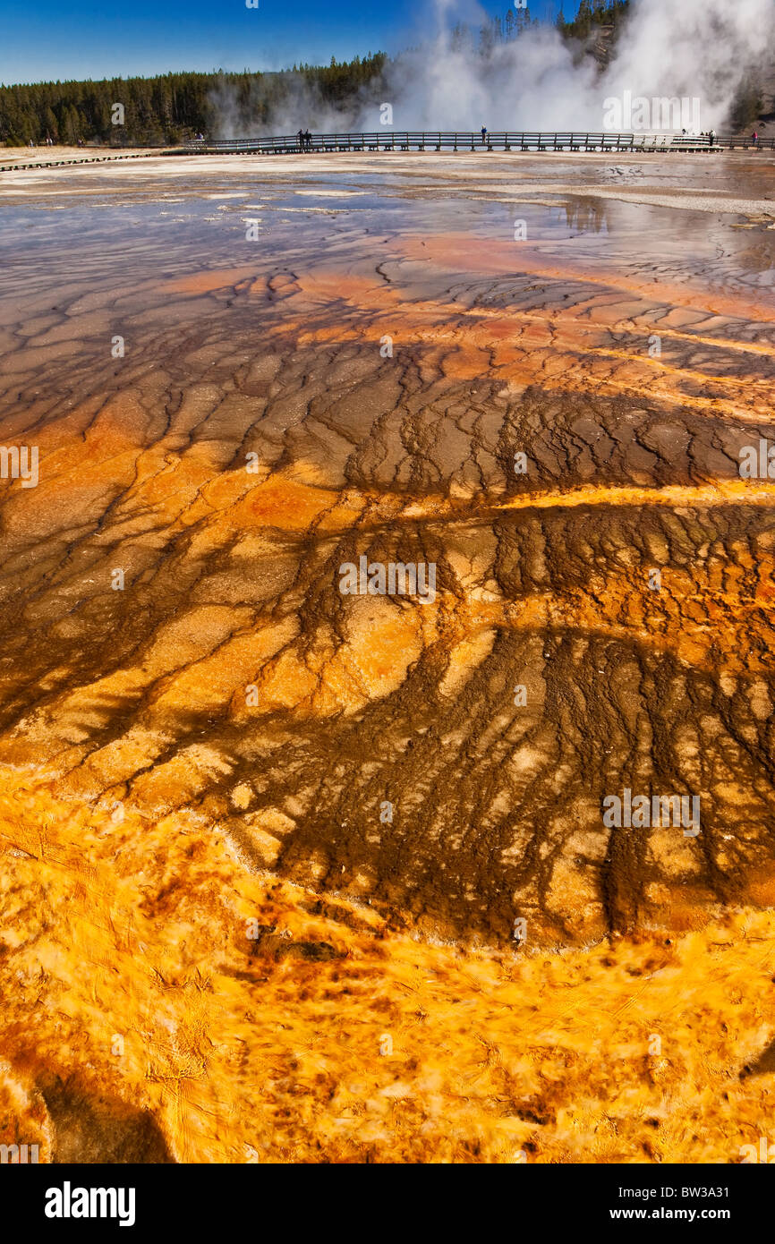 Yellowstone's gorgeous and colorful Grand Prismatic Spring Stock Photo ...