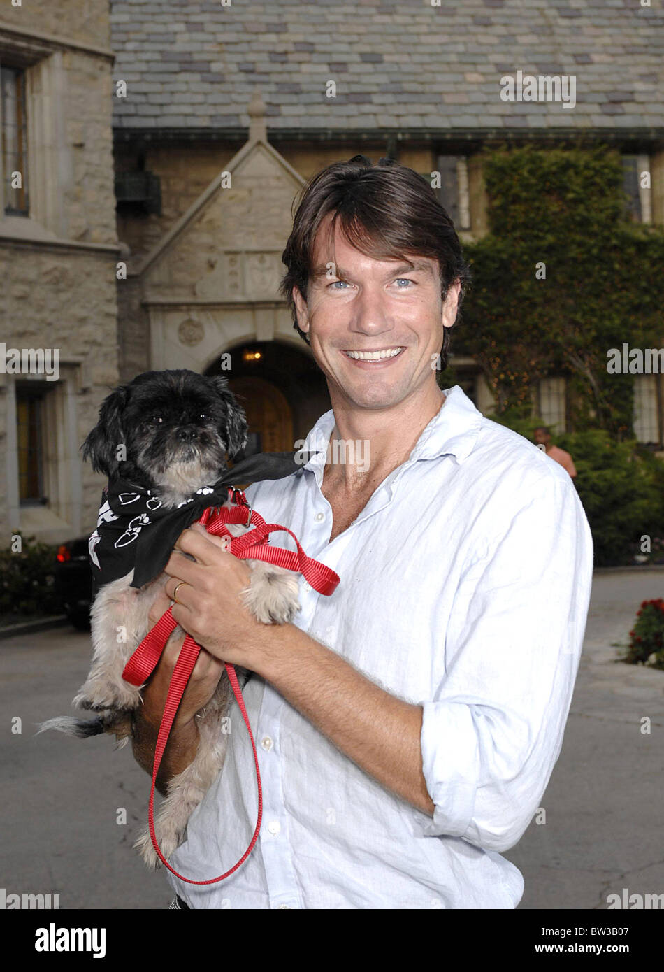 MUCH LOVE ANIMAL RESCUE'S 2ND BOW WOW WOW! Stock Photo - Alamy