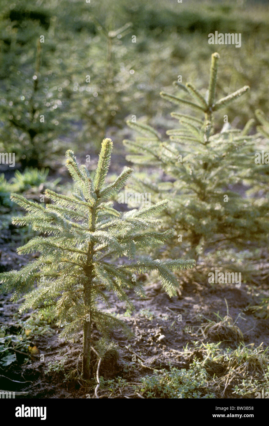 100 024 255 hi-res stock photography and images - Alamy