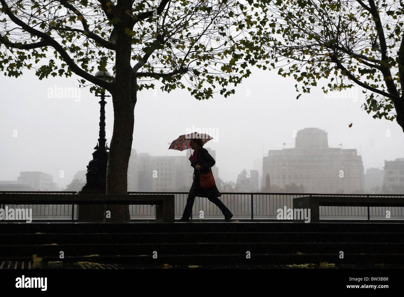 A rainy day in London, Britain. A woman rushes along under her umbrella ...