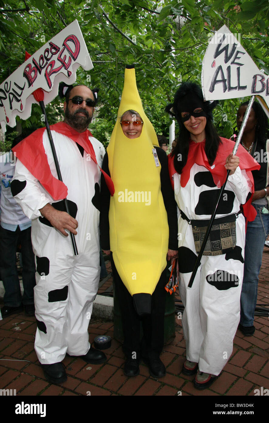 1st Annual Veggie Pride Parade in America Stock Photo - Alamy
