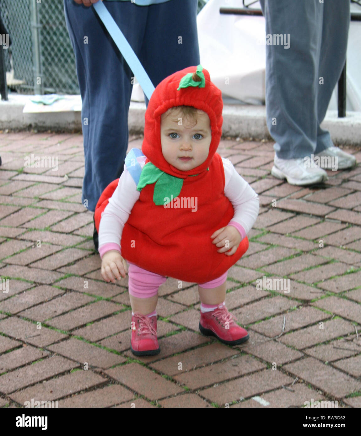 1st Annual Veggie Pride Parade in America Stock Photo - Alamy