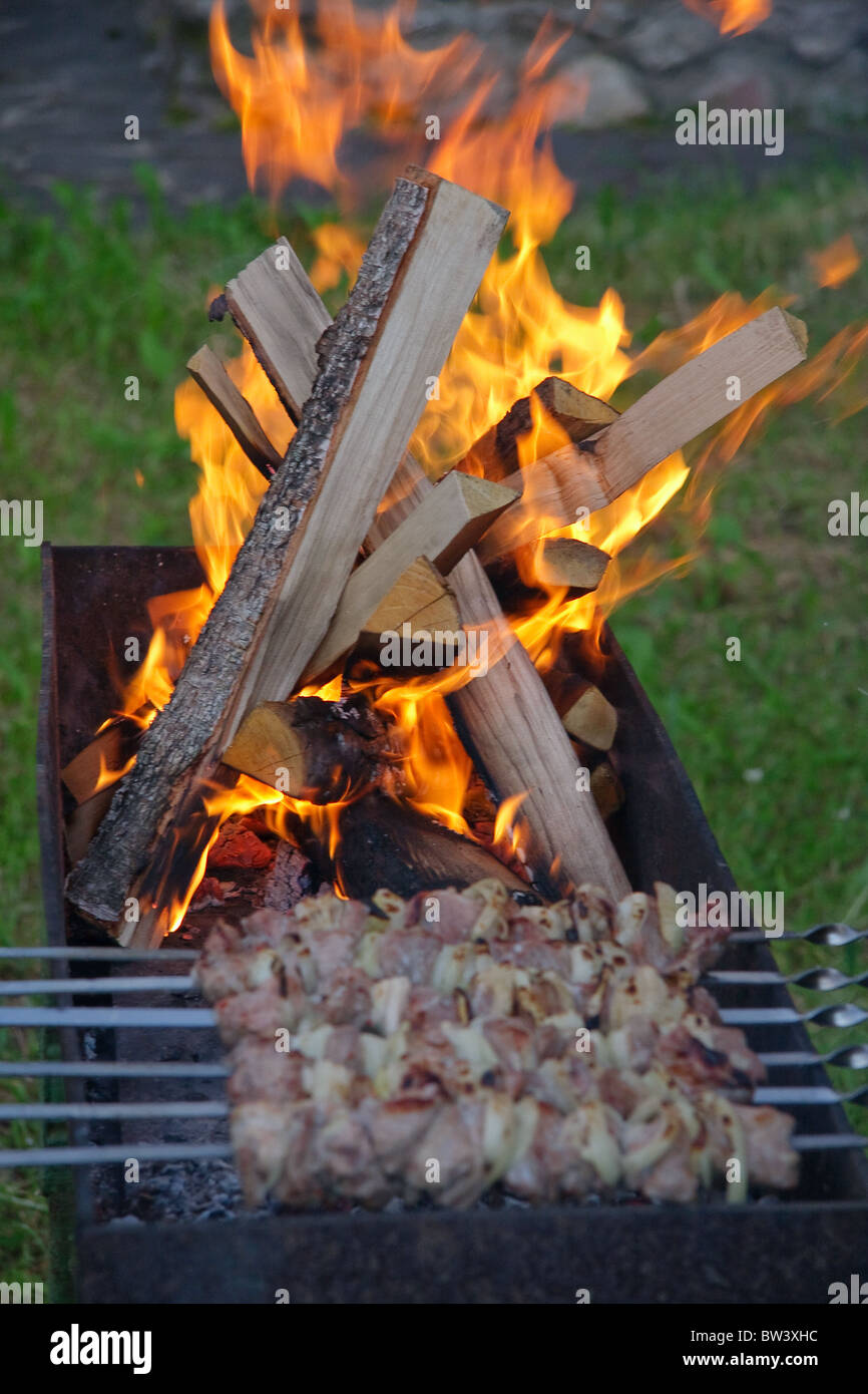 Barbecue russian hi-res stock photography and images - Alamy